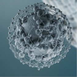 introducing exo booster - Dermalogica PRO UK